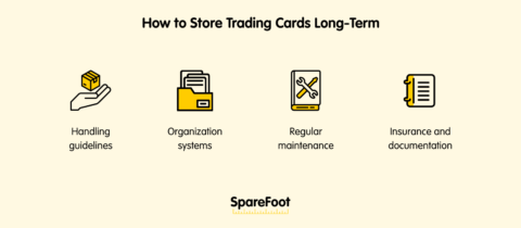 Best Way to Store Trading Cards | Protect Your Collection